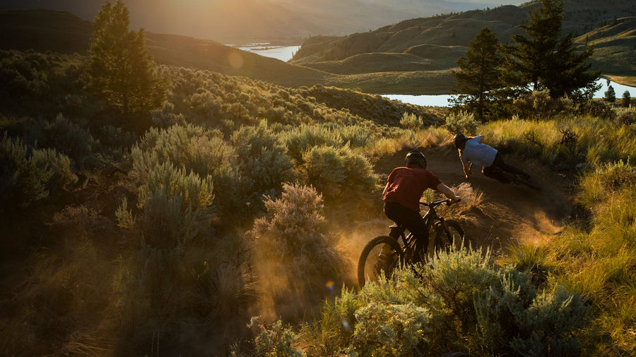 Just Ride Nerang | Premier Gold Coast Bike Shop