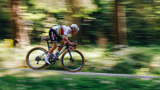 Just Ride Nerang | Premier Gold Coast Bike Shop